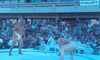 Wrestling slam sumo GIF - Find on GIFER