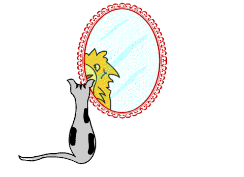 Point GIF - Find on GIFER