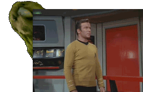 Kirk GIF - Find on GIFER