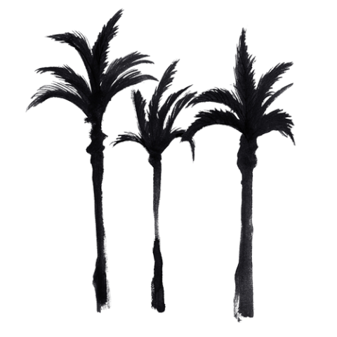 Palm trees GIF - Find on GIFER