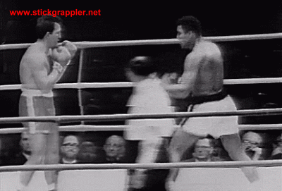 GIF ali - animated GIF on GIFER