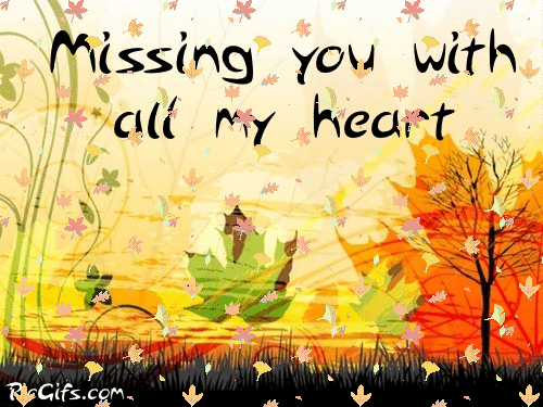 Missing GIF - Find on GIFER