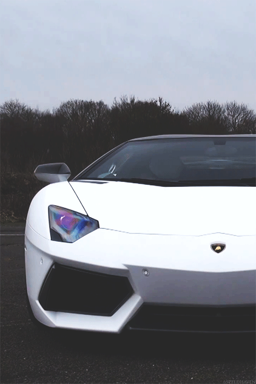 GIF lamborghini cars - animated GIF on GIFER