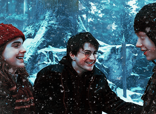 Harry potter harry hermione GIF - Find on GIFER