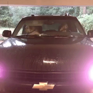 Beep GIF - Find on GIFER