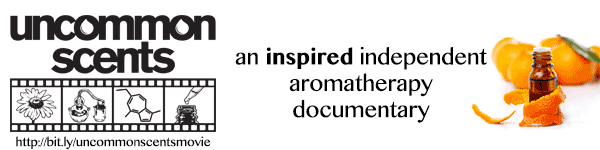 Documentary GIF - Find on GIFER