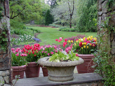 Garden GIF - Find on GIFER