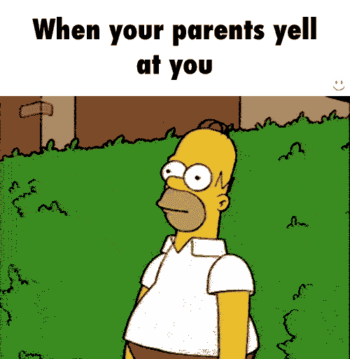 Yell GIF - Find on GIFER