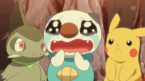 Tu Es Le Meilleur Gif Animé