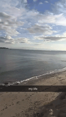 Life shitty GIF - Find on GIFER