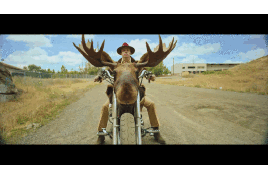 Trainwreck GIF - Find on GIFER