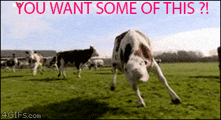 Problems GIF - Find on GIFER