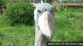 Dust GIF - Find on GIFER