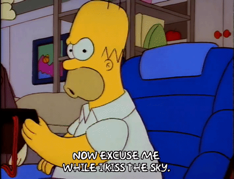 Me vs you GIF - Find on GIFER