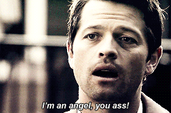 Sass GIF - Find on GIFER