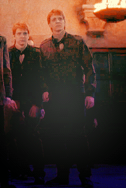 GIF weasley - animated GIF on GIFER