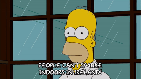 GIF homer simpson episode 14 excited - animated GIF on GIFER