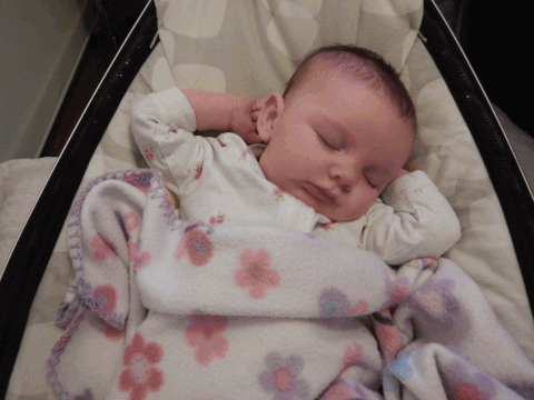 GIF waking up - animated GIF on GIFER