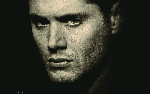 Intense GIF - Find on GIFER