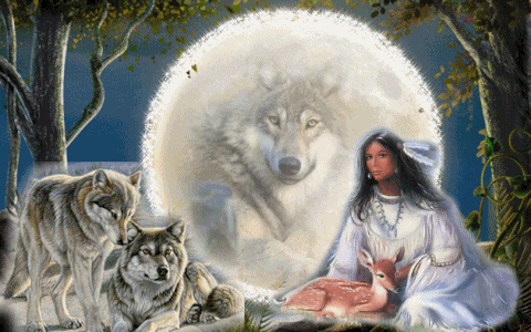 GIF wolves - animated GIF on GIFER