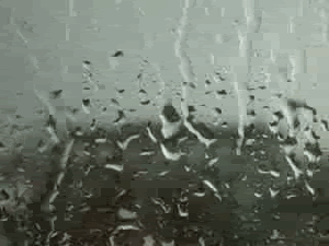 Rain raining GIF - Find on GIFER