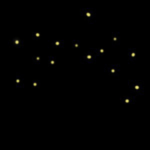 Firefly GIF - Find on GIFER