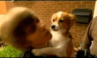 Sammy GIF - Find on GIFER