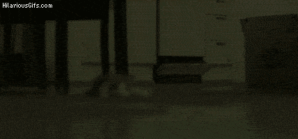 Stalking GIF - Find on GIFER