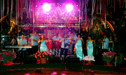 Performances GIF - Find on GIFER