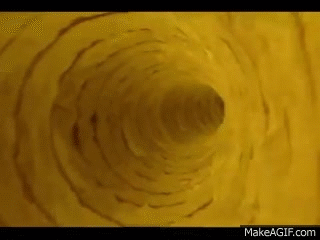 Red hot chili peppers GIF - Find on GIFER