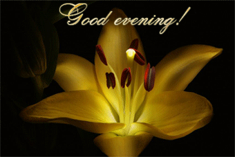 Evening GIF - Find on GIFER