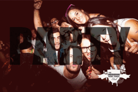 Partying GIF - Find on GIFER