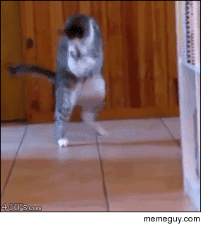 Listening GIF - Find on GIFER