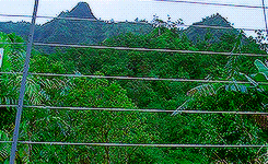 GIF jurassic park jeff goldblum laura dern - animated GIF on GIFER