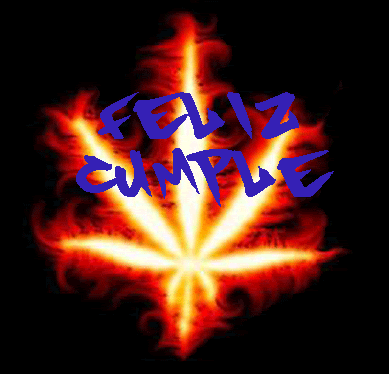 Reggae GIF - Find on GIFER