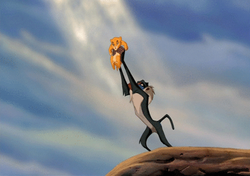 Fight scene GIF - Find on GIFER