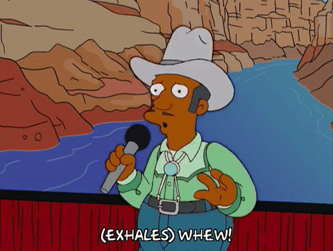 Episode 5 season 17 apu nahasapeemapetilon GIF - Find on GIFER