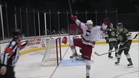 Celebration checkers charlotte checkers GIF - Find on GIFER