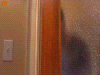 GIF wtf - animated GIF on GIFER