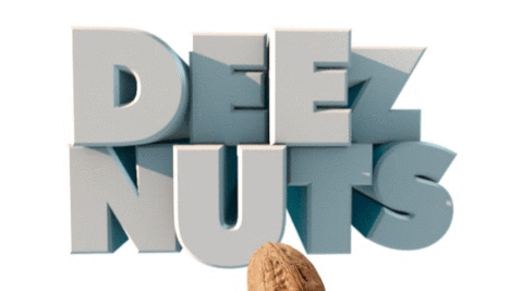 GIF nuts - animated GIF on GIFER