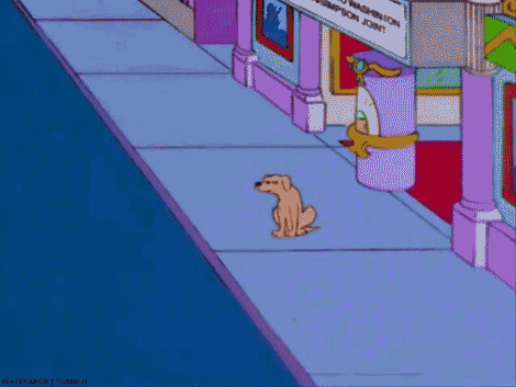 Owner GIF - Find on GIFER