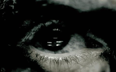 Attack GIF - Find on GIFER