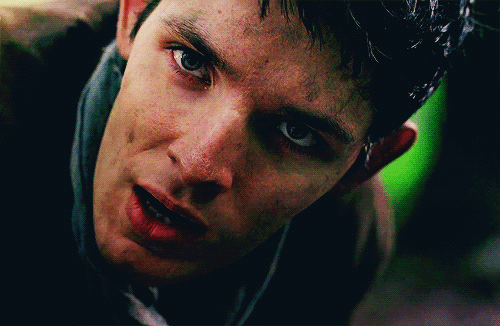 Merthur merlin sail racing GIF - Find on GIFER