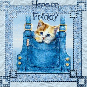 Friday video kitty GIF - Find on GIFER