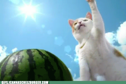 Karate master GIF - Find on GIFER