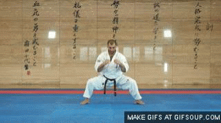GIF karate - animated GIF on GIFER