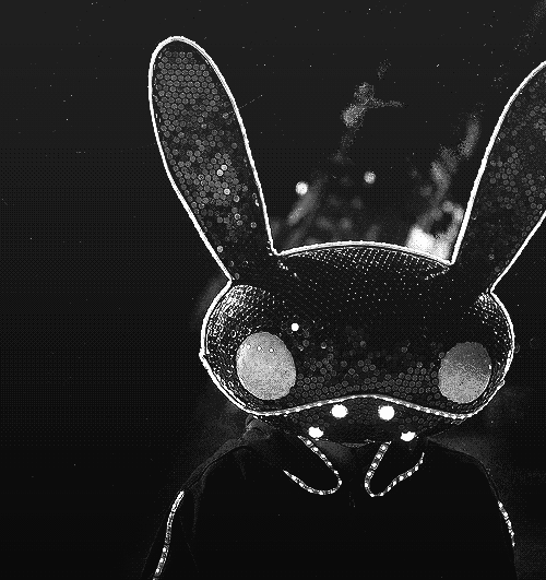 Best absolute perfect GIF - Find on GIFER