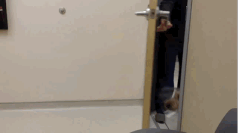 Blind GIF - Find on GIFER