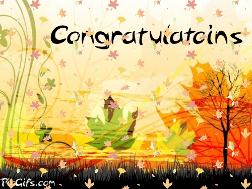 Congratulations GIF - Find on GIFER