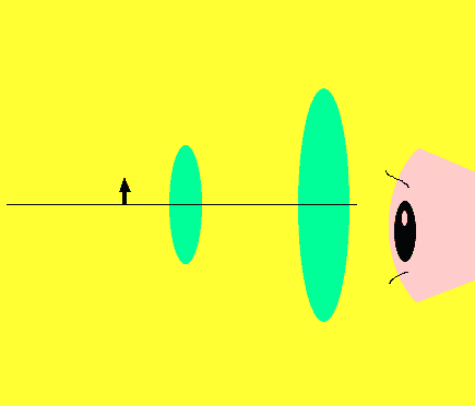 GIF microscope - animated GIF on GIFER